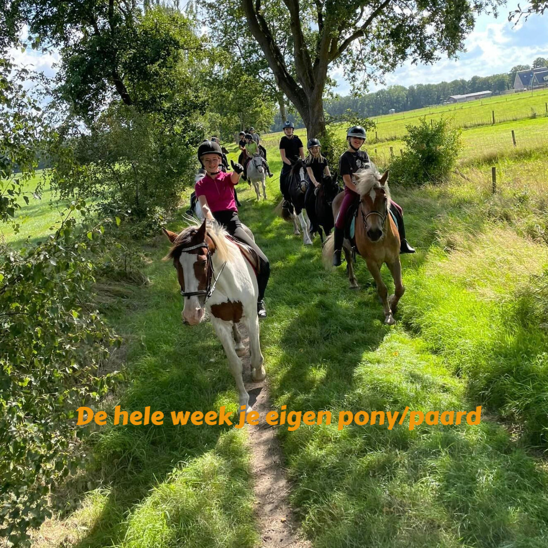 Ponykampen | www.paardensportcentrum.nl