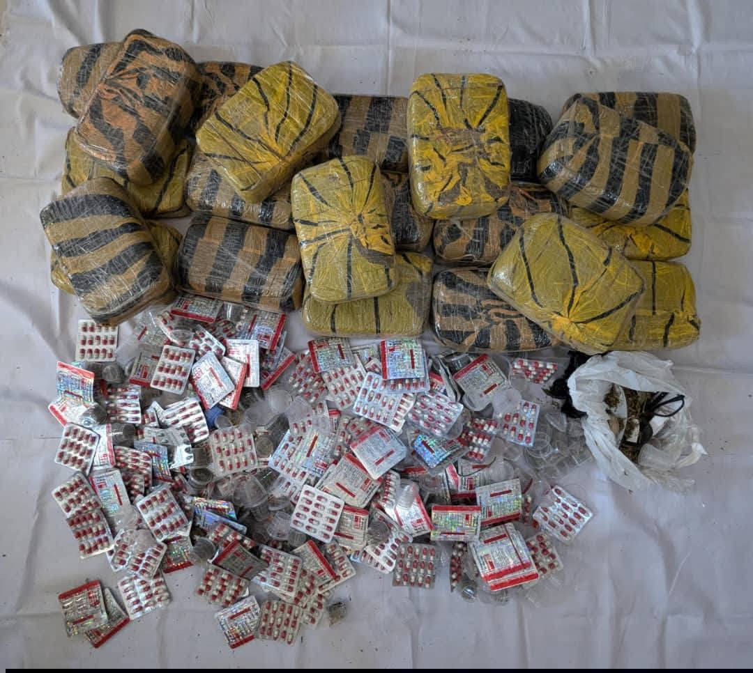 Kano Police Arrest Suspected Drug Dealer and Five Thugs in Major Anti ...