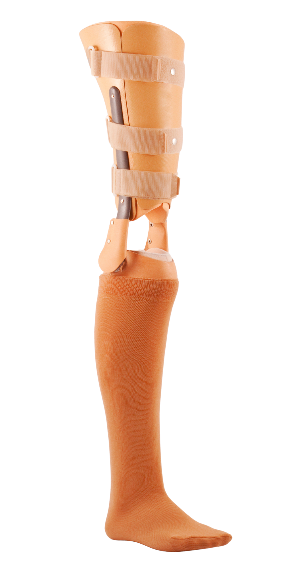 Beenprothesen | Rijndam Orthopedietechniek