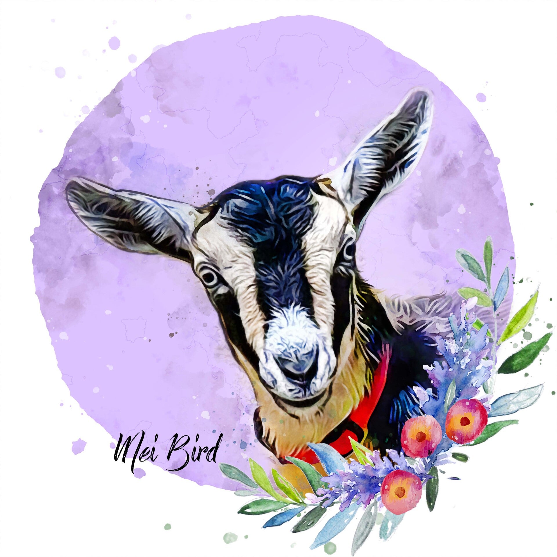 Painted Feather Goats