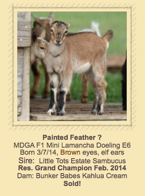 2014 Kids / Past Kids | Painted Feather Goats