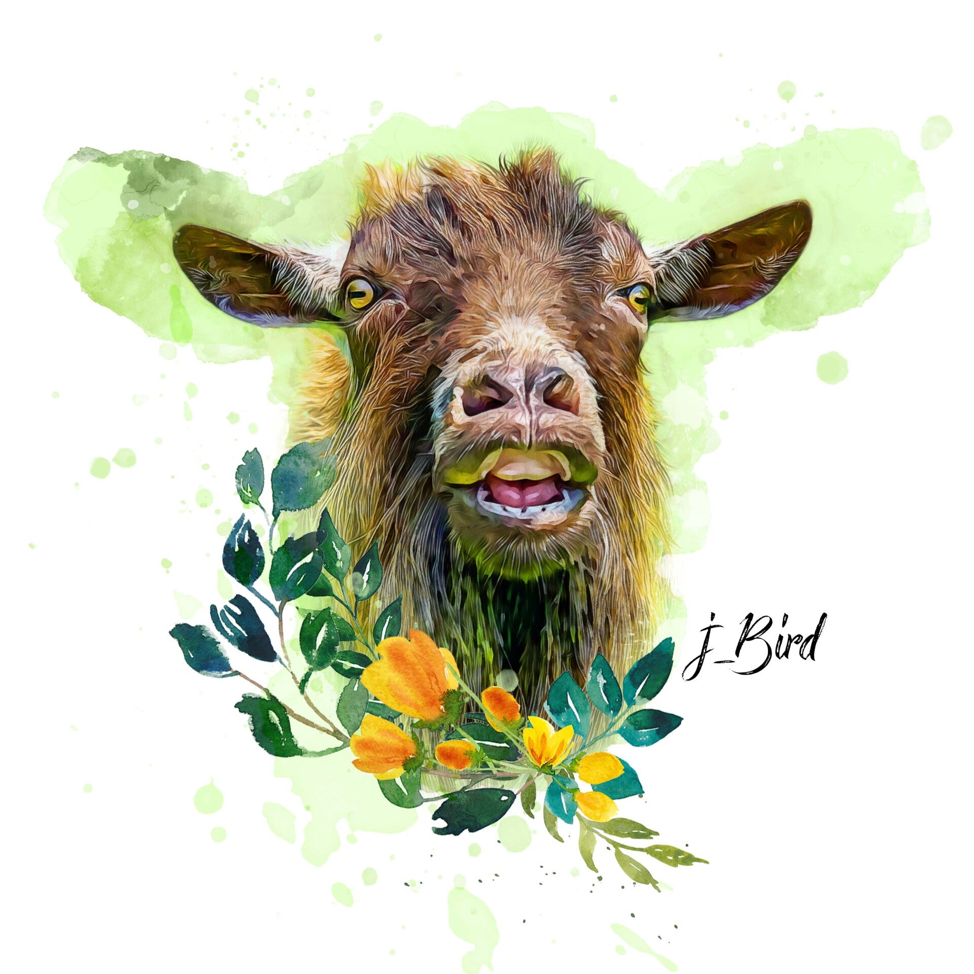 Painted Feather Goats