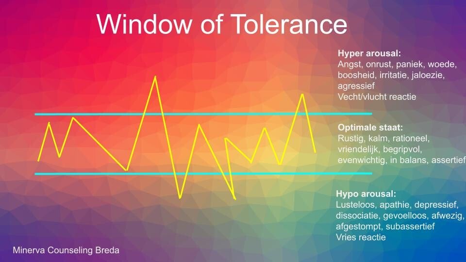 Window of Tolerance bij Trauma / Traumatherapie / Psychotherapie ...