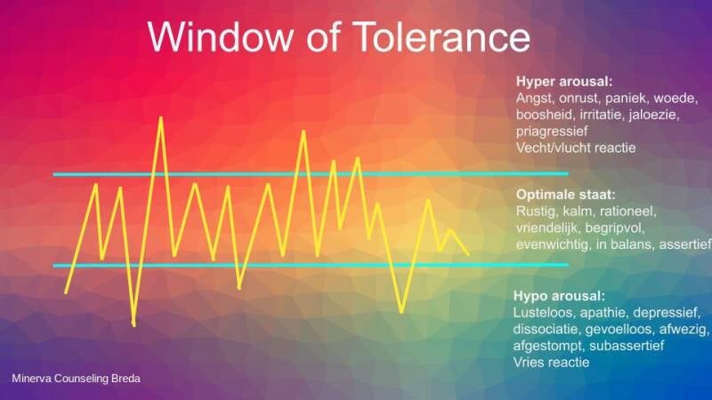 Wat is de Window of Tolerance en wat heb je er aan? / Blog | Minerva ...