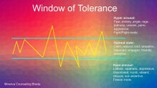Window of Tolerance bij Trauma / Traumatherapie / Psychotherapie ...