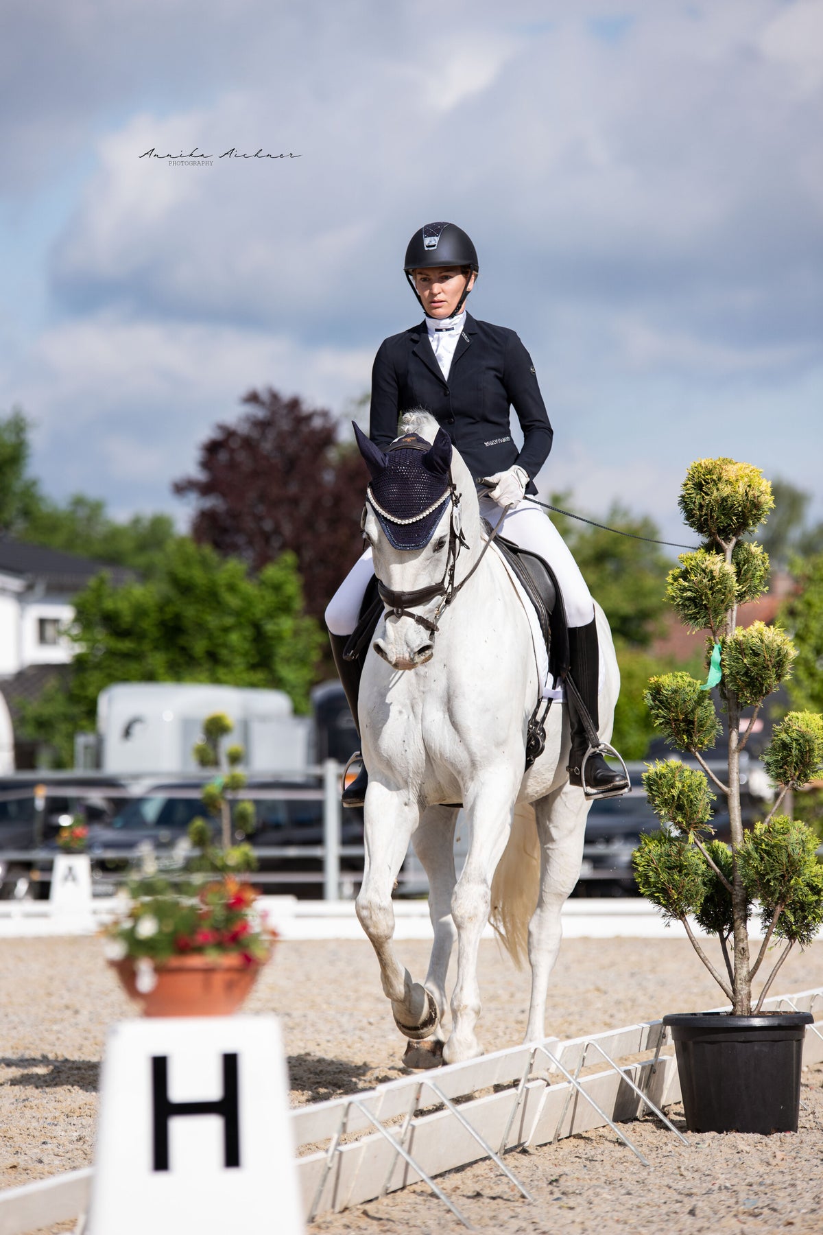 Dressur / Reitsport / Pferde / Portfolio | Annika Aichner Fotografie