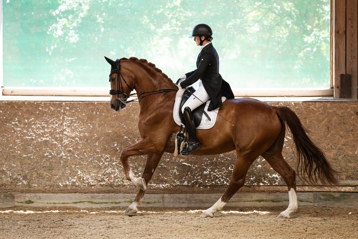 Dressur / Reitsport / Pferde / Portfolio | Annika Aichner Fotografie