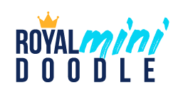 royalminidoodle.nl