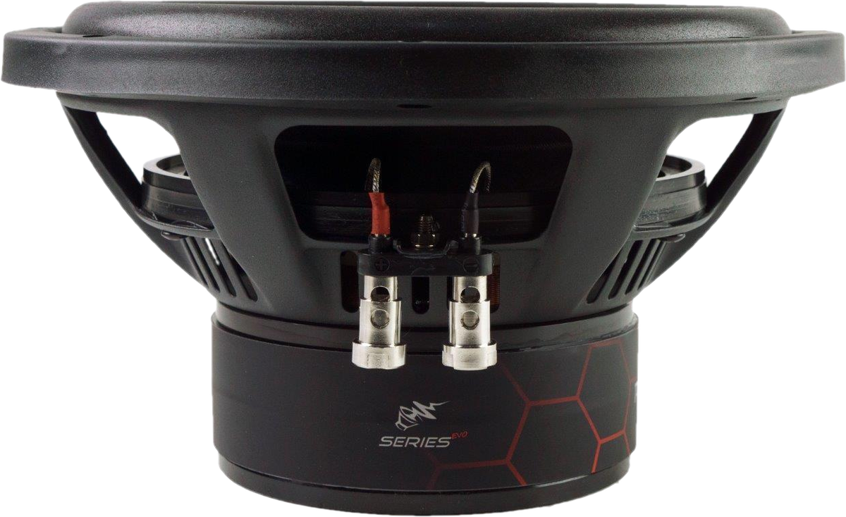 Audio System R10 EVO 10 inch subwoofer | Wattsuppaudio