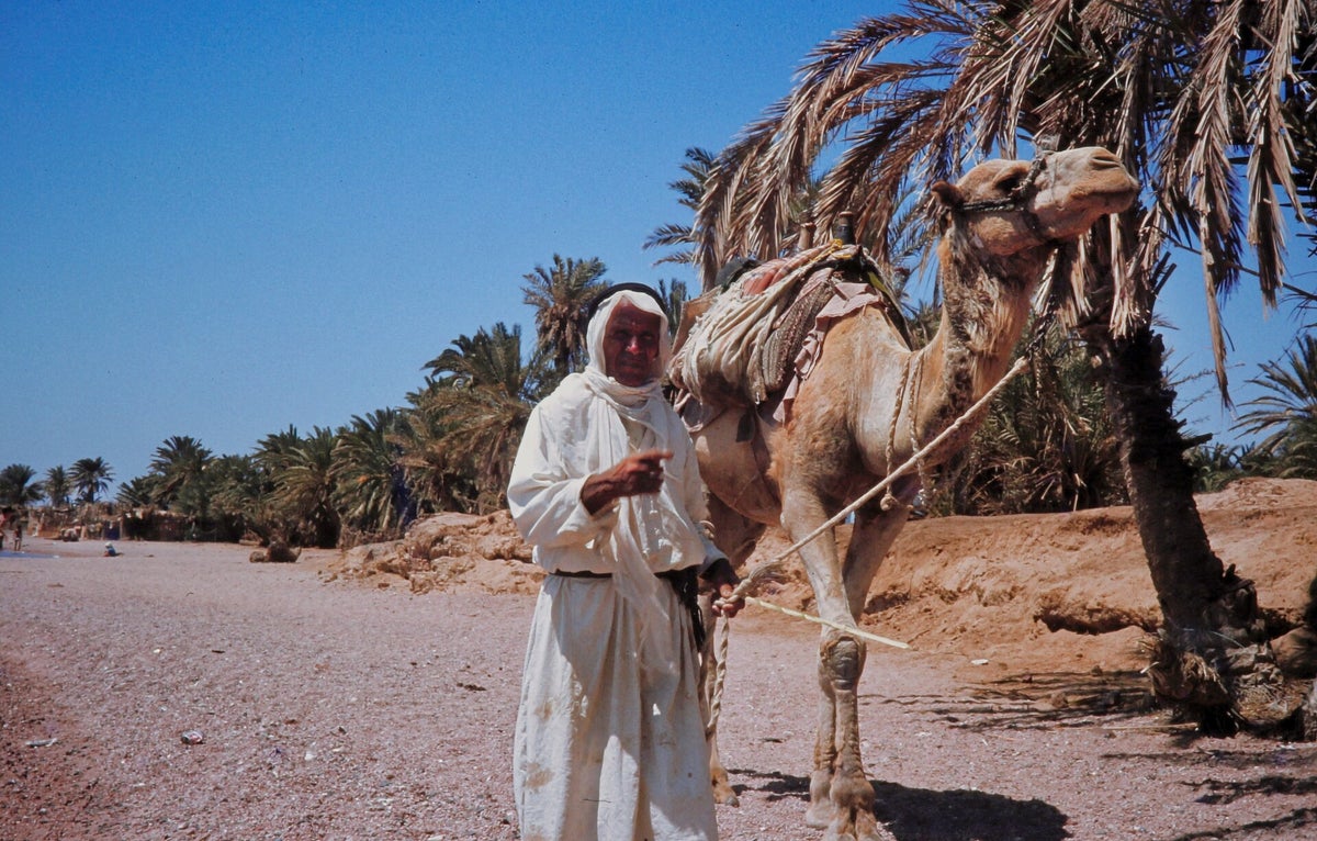 Dahab
