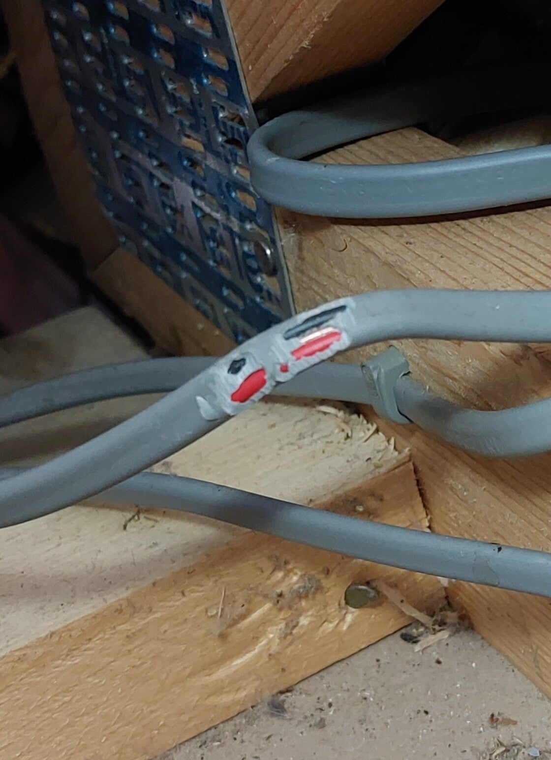 Contact | Wee Beasties pest solutions