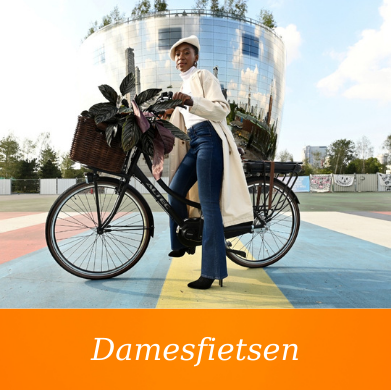 Home [www.mkbikes.nl]