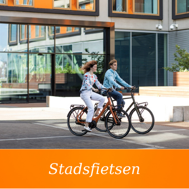 Home [www.mkbikes.nl]