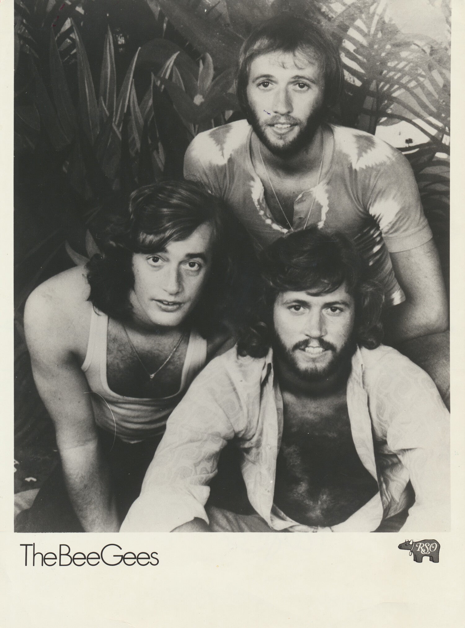 Bee Gees - 1970s [Holland] - Publicity Press Photo | DIZQ.COM | MUSIC ...