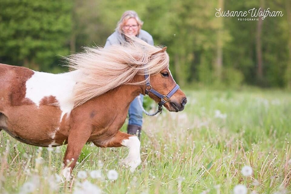 Contact | Happy Horse Stable