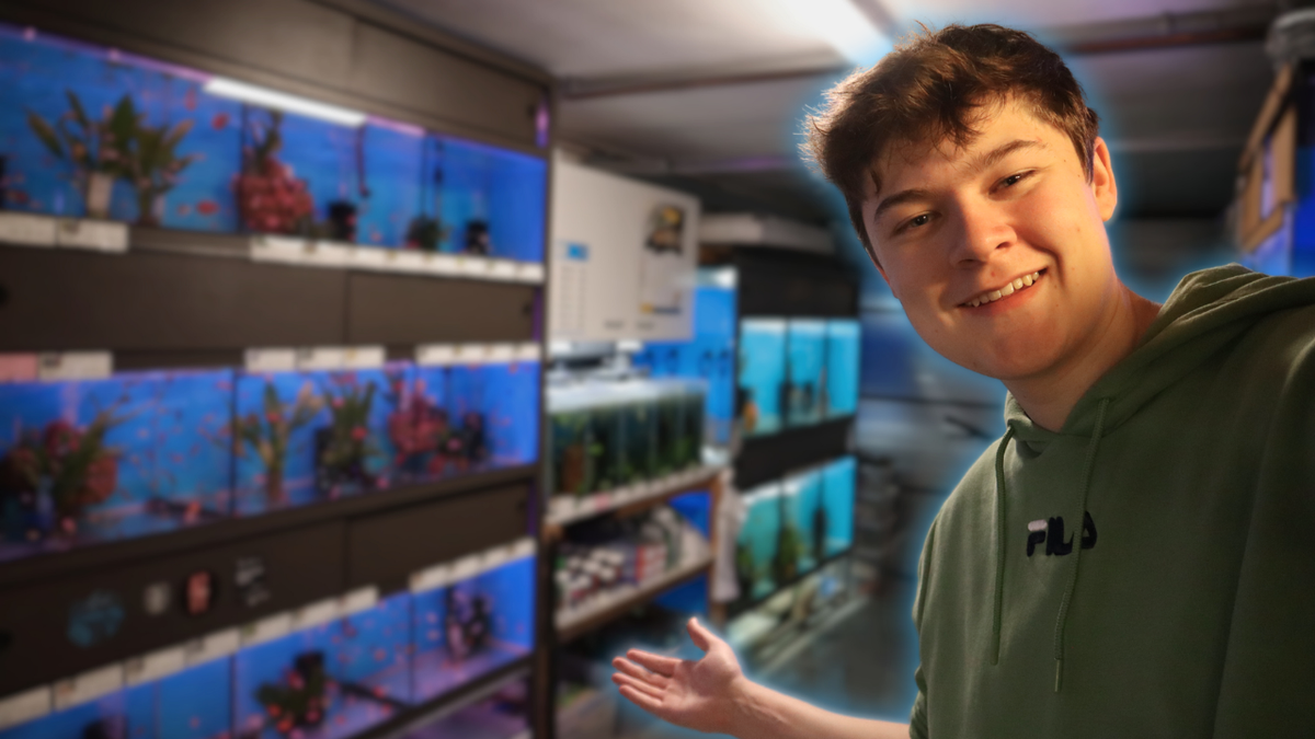 A REAL DAY In The Life Of A 17 YEAR Old Fishkeeper! / YouTube Kanaal ...