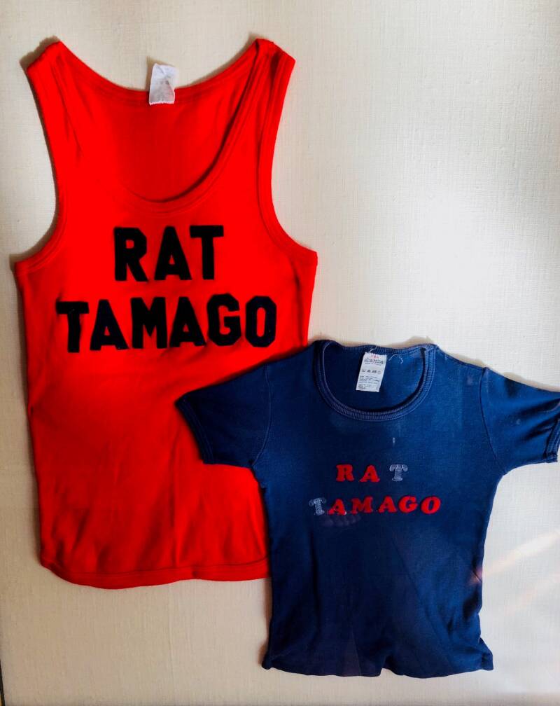 Ahmet Zappa / Interviews | Zappa News