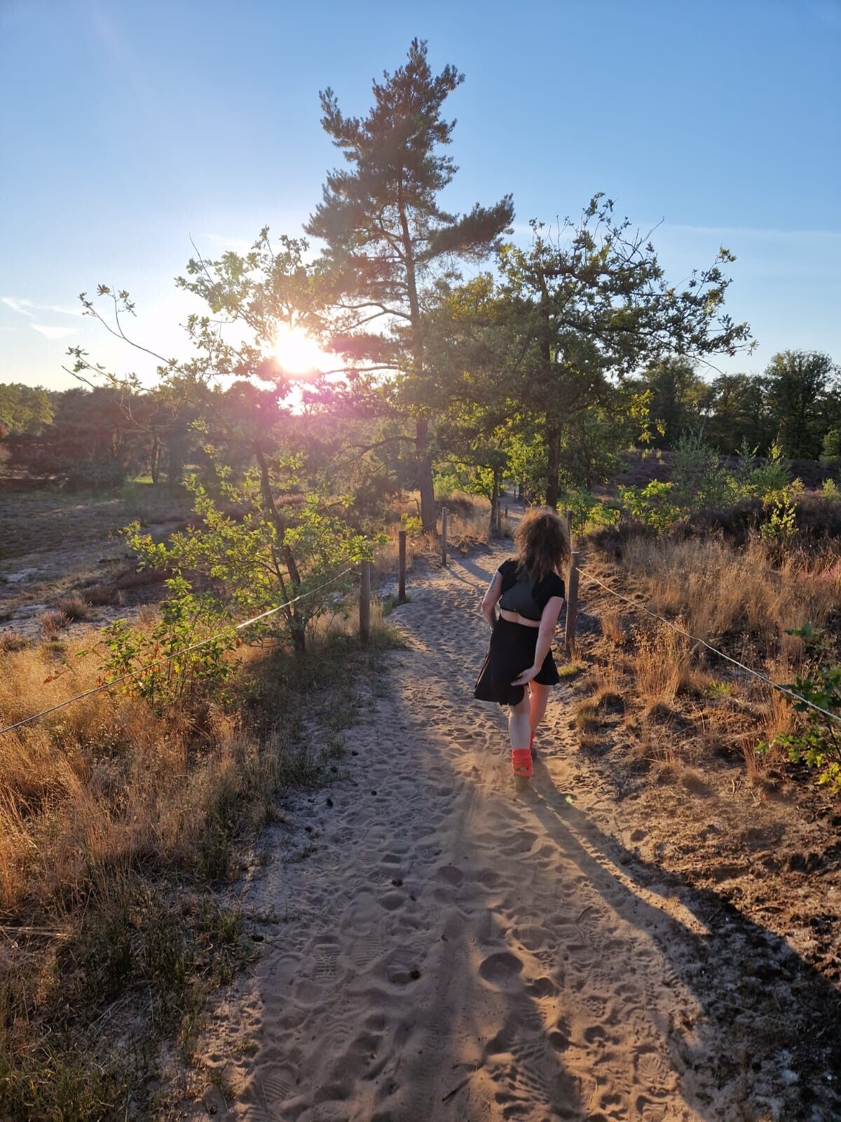 ontstaan FlowMotion | FlowMotion