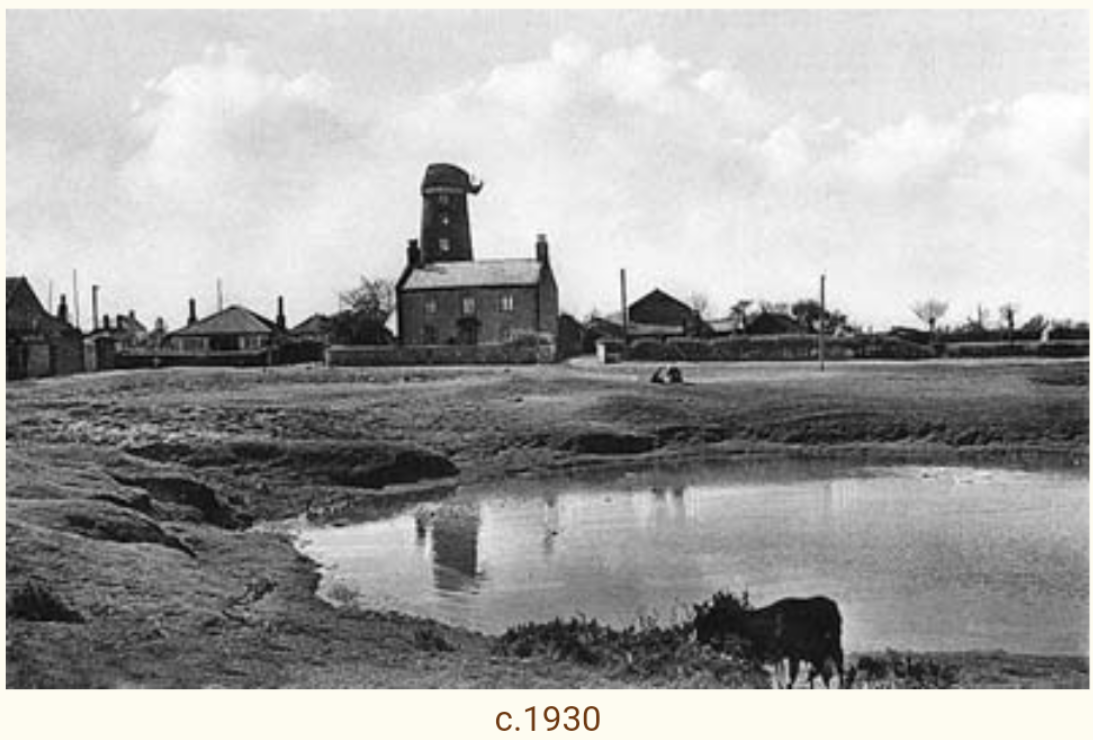 Tower Mill / Local History Home | Family and Local History