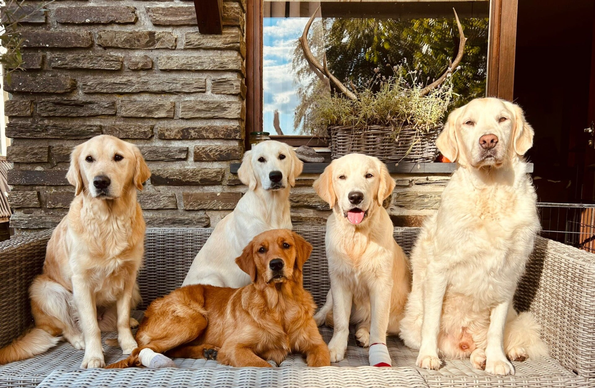 The Golden Way