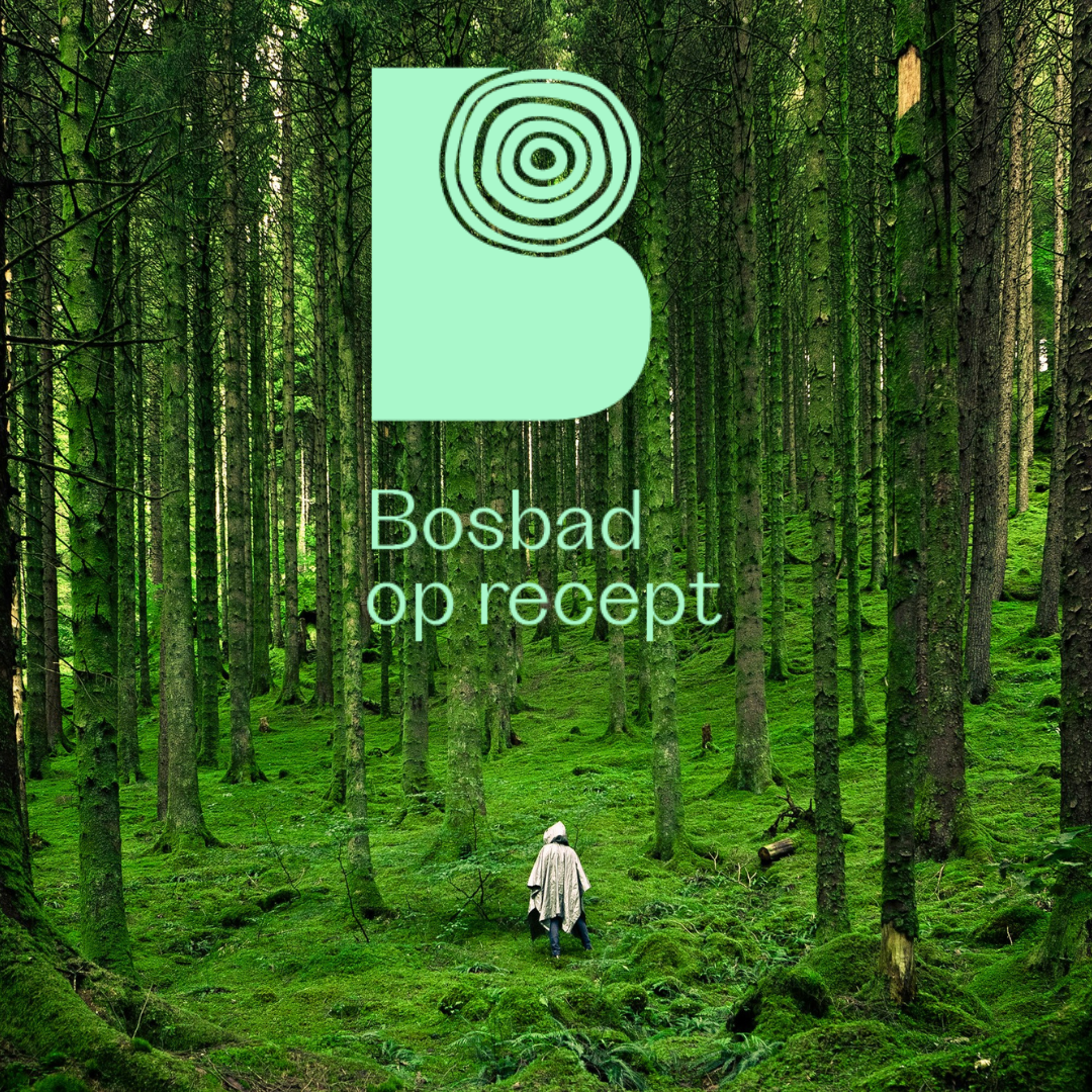 Home | Bosbaden | Forest Bathing