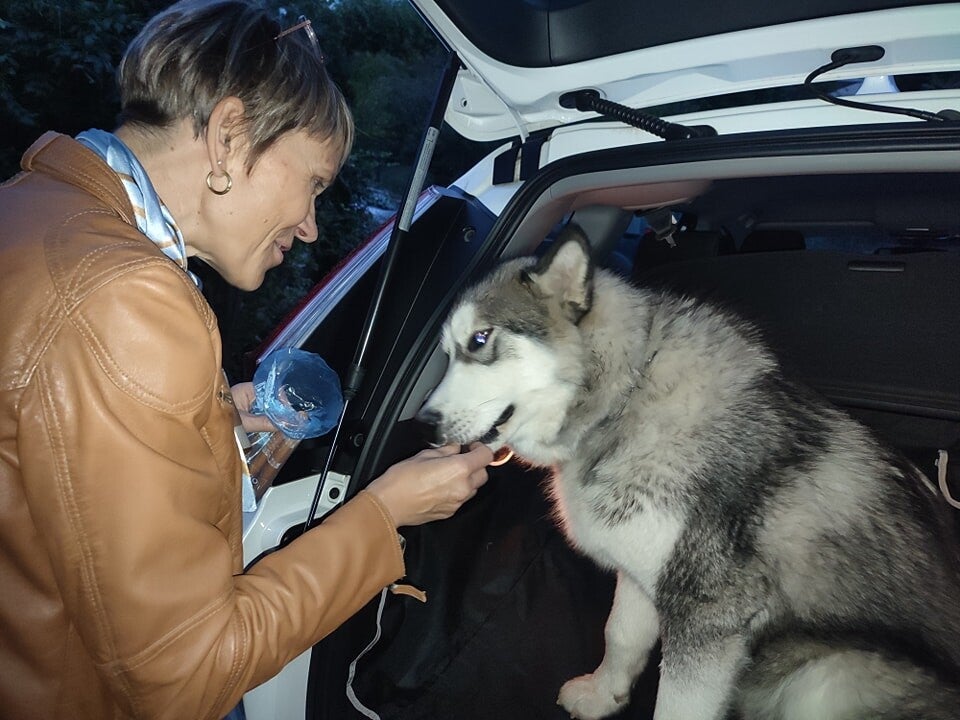 Laeti Dog & Cie Comportementaliste et éducatrice canine