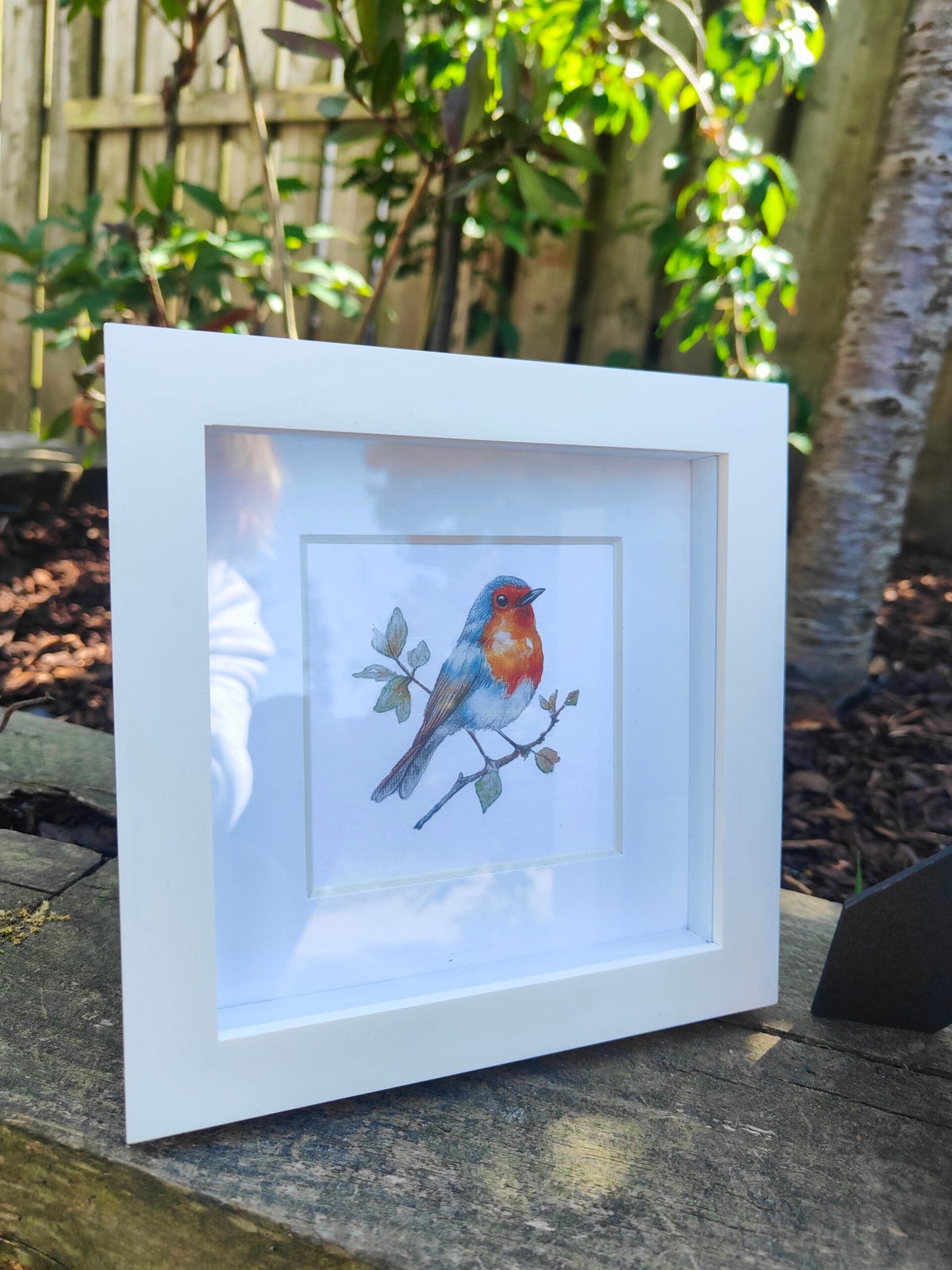 Robin Collection | Wildnwonderfulprints