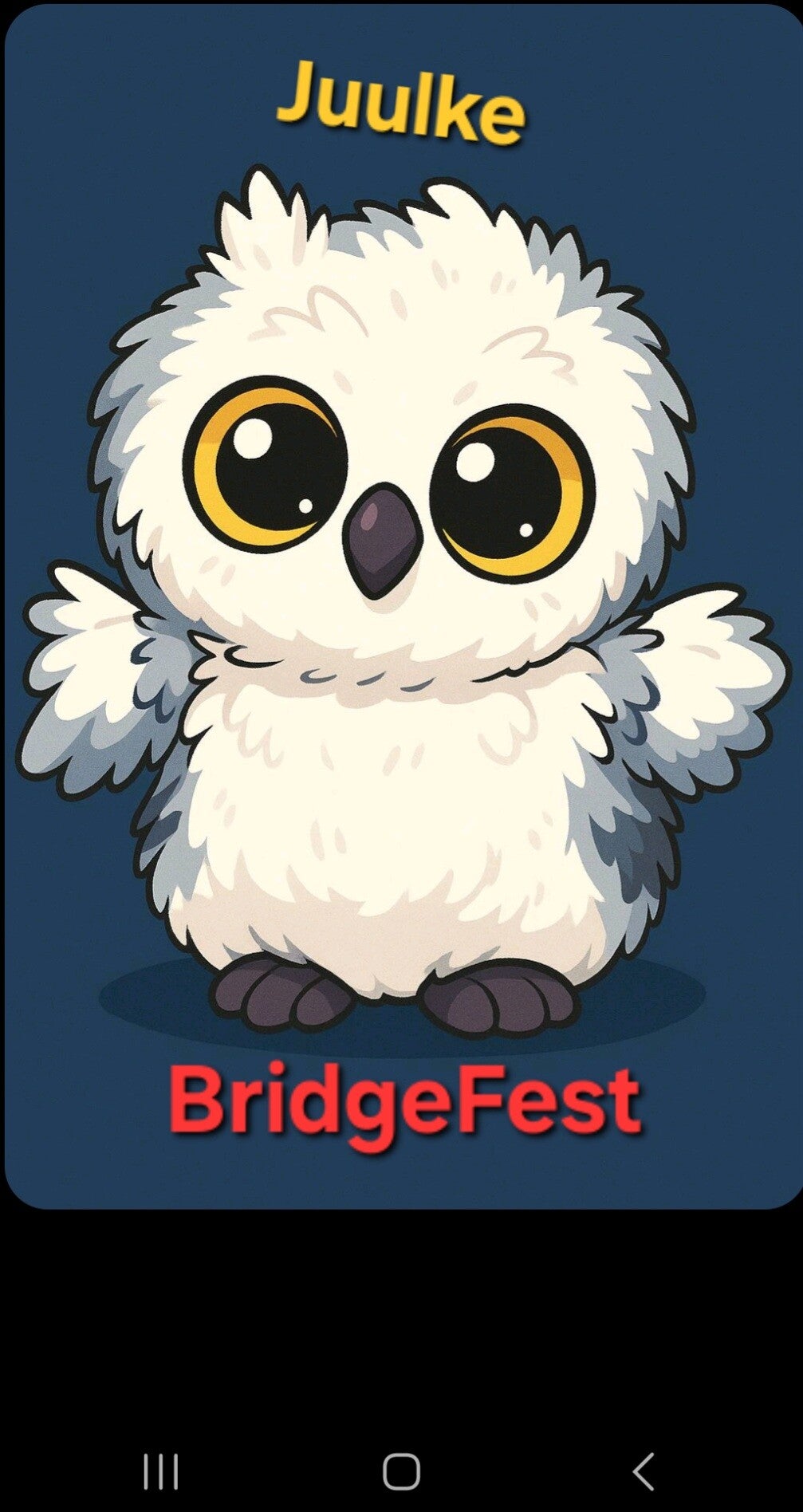 Line up & sponsors 2024 !! | BridgeFest Berg a/d Maas