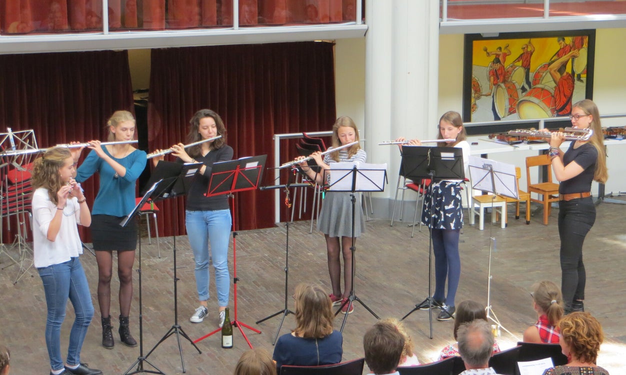 Dwarsfluit / Muziekles | Muziekplein Ede