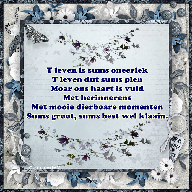 zulf vertoald in t Grunnings (Corrie) | Mien-grunningse-krabbelploatjes