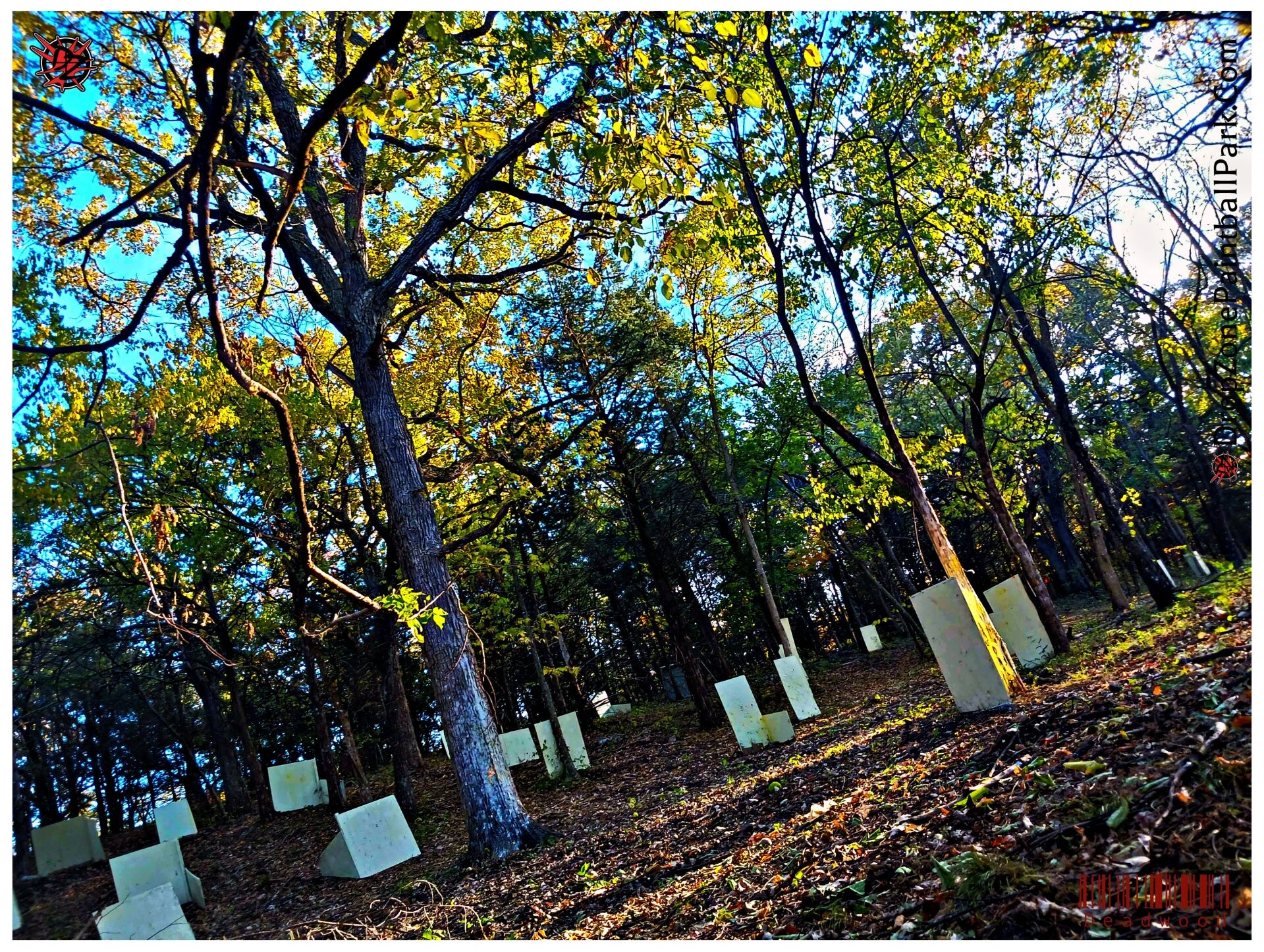 Drop Zone Paintball Park