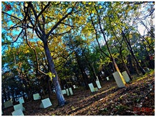 Drop Zone Paintball Park
