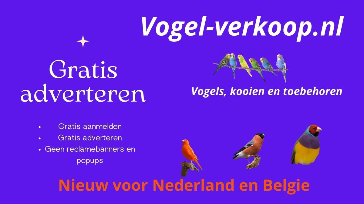 Luchtpijpmijt | De Vogelvrienden