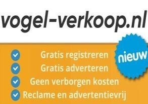 Luchtpijpmijt | De Vogelvrienden