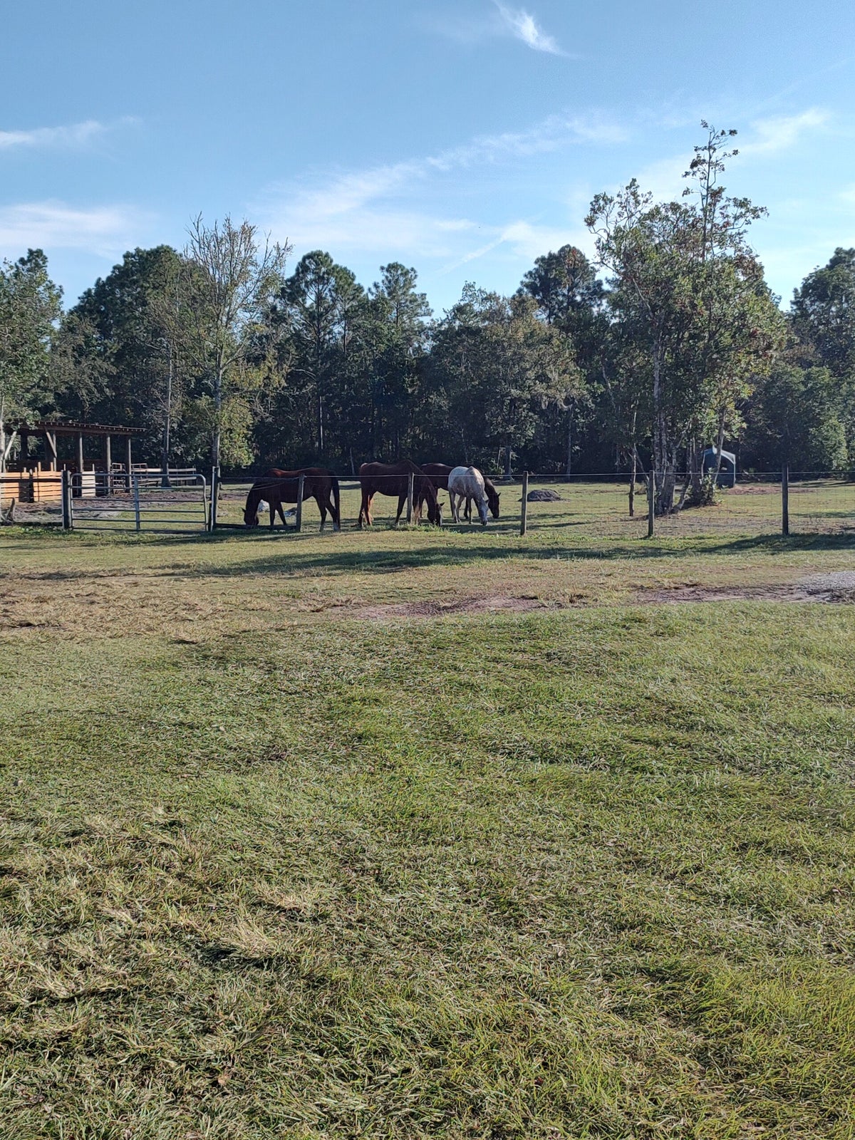 CONTACT | LIGHTHOUSE RANCH EQUINE THERAPY CENTER