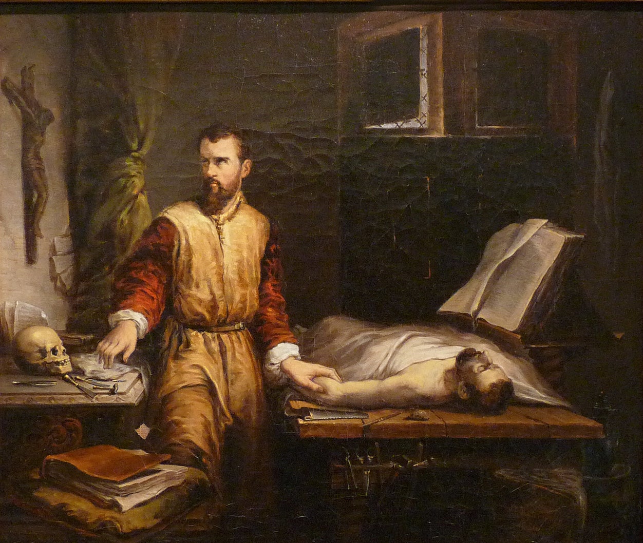 André Vésale, l’homme qui changea la médecine / L'Histoire étonnante ...