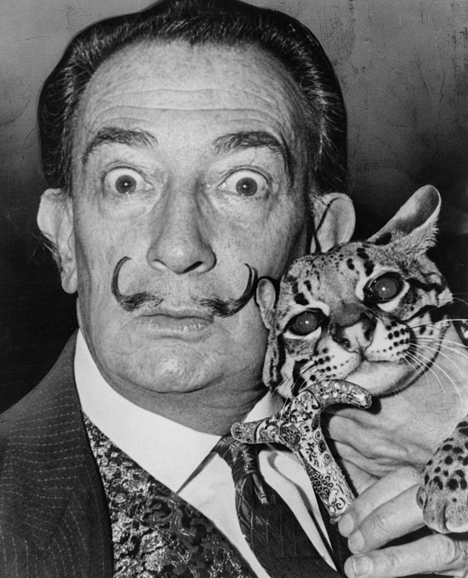 Salvador Dalí et La Persistance de la mémoire / L'histoire et l'art ...