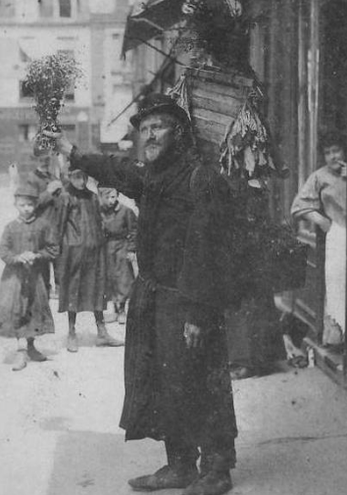 L'origine de l'expression "se faire du mouron" / L'Histoire étonnante ...