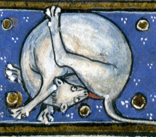 Le chat serviteur du diable / Moyen Âge | Prohistoire