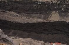 LA LEONARDITE / NUTRIZIONE ORGANICA | SEMPRE AL VERDE, IL BLOG DEDICATO ...