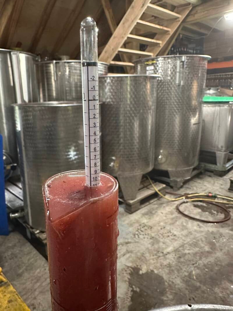 Vinificatie / WIJN WEETJES | DeWijnKoopman