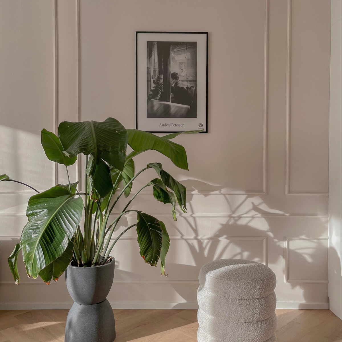 DIY: Altbau-Flair mit Styropor-Stuck / DIY Tutorials | Sue and Stu