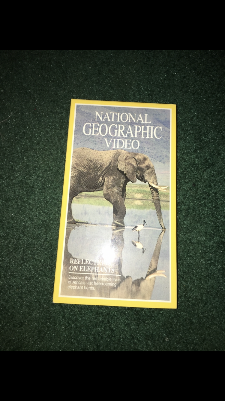 National Geographic reflection on elephants vhs