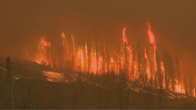 waar komen bosbranden voor? | Bosbrandenxo