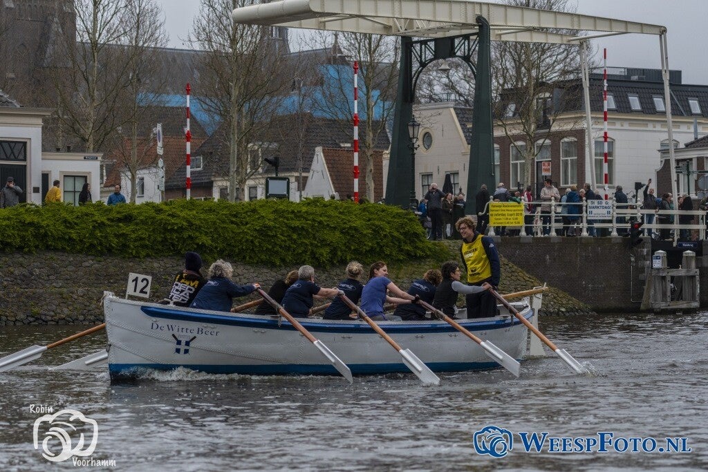 Witte Beer / Sloepen / Database | sloeproeienNL