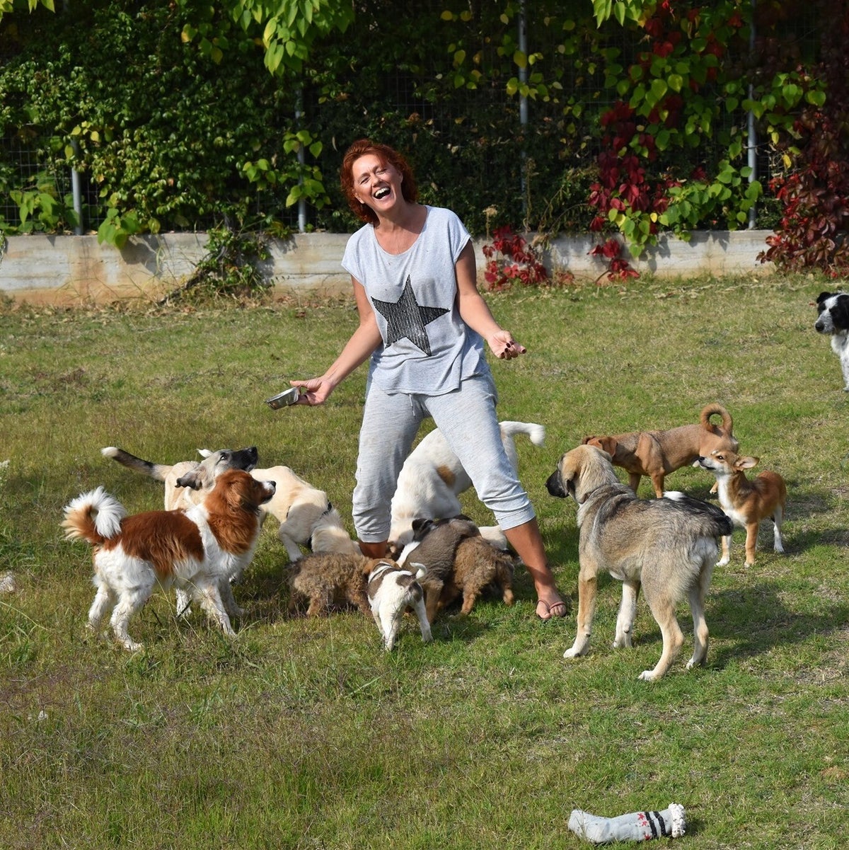 Selly's Dog Rescue