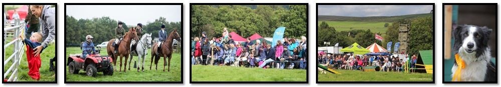 Trade stand enquiries Bellingham Show and Country Festival