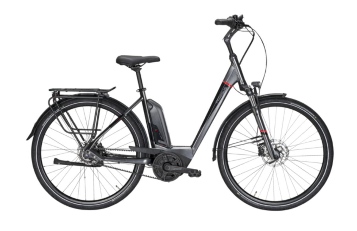 eBike versus Pendix