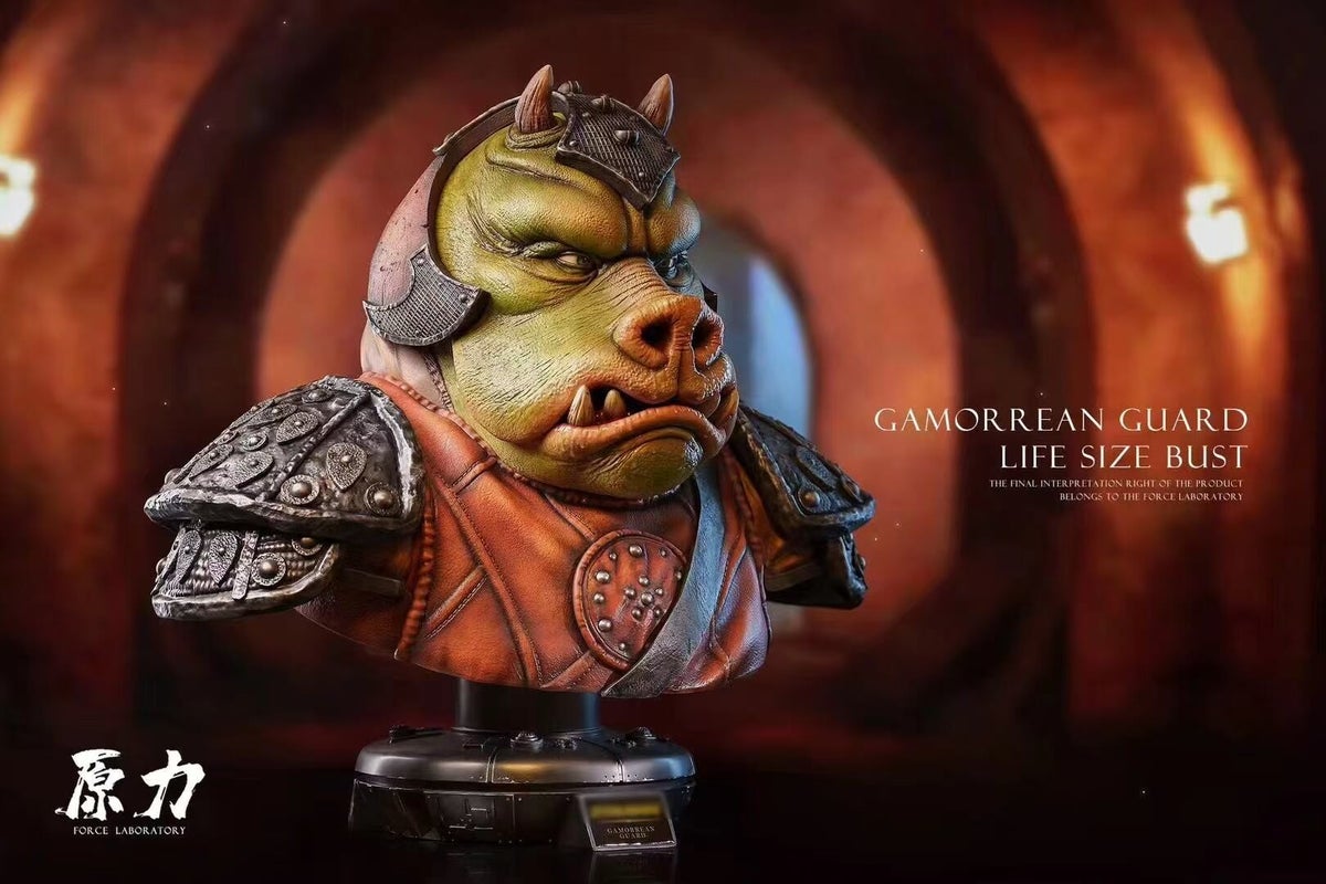 Force Laboratory 1/1 From Gamorrean Bust | www.hannahlistudio.com