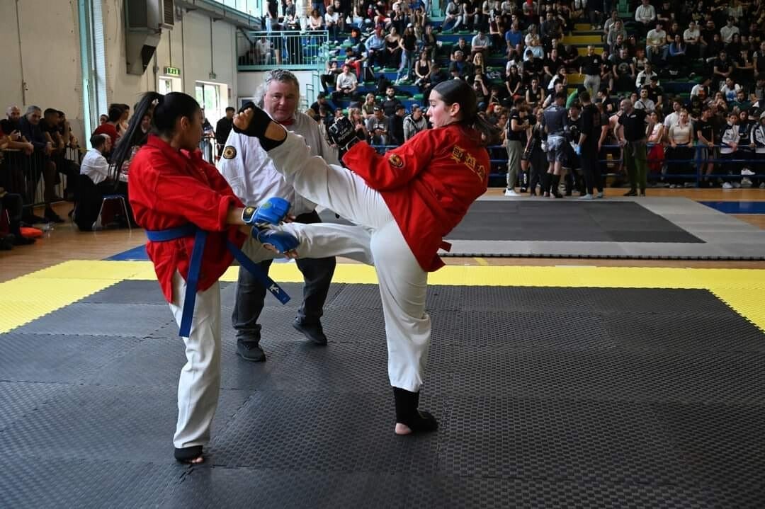 Nice Kombats Dojo